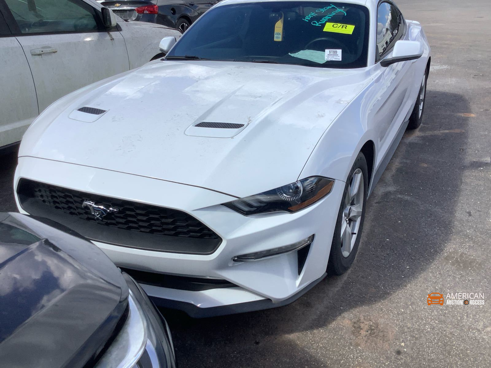 American Auction Access